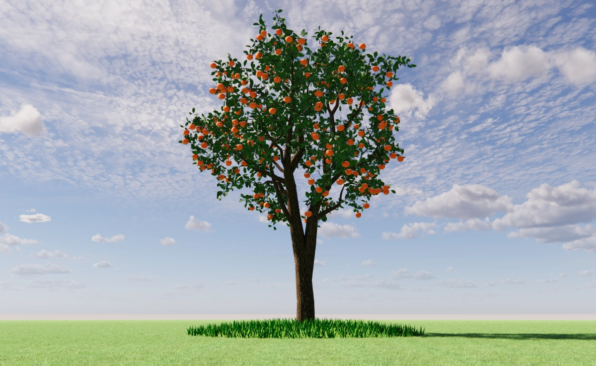 [Video] Persimmon Tree (Summer)
