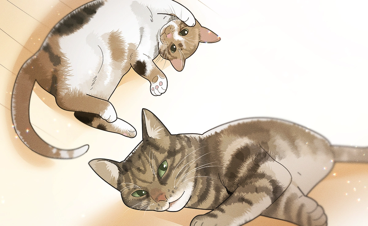 11 cat burn materials