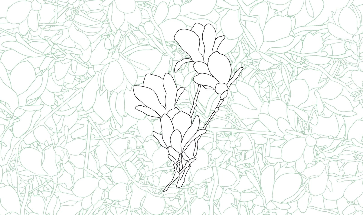 Clip studio flower brush that enriches the picture!