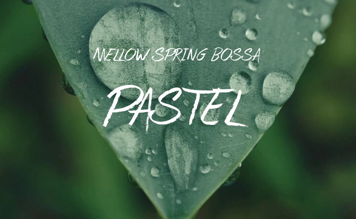 Pastel / Mellow Spring Bossa