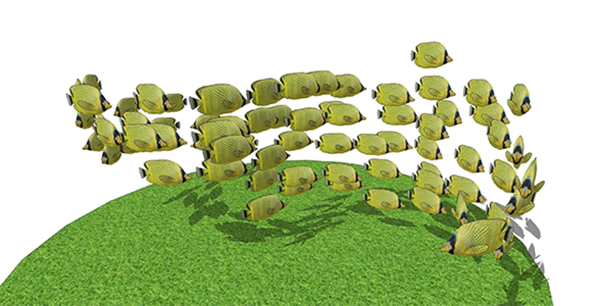 Fish Series - Tropical Fish