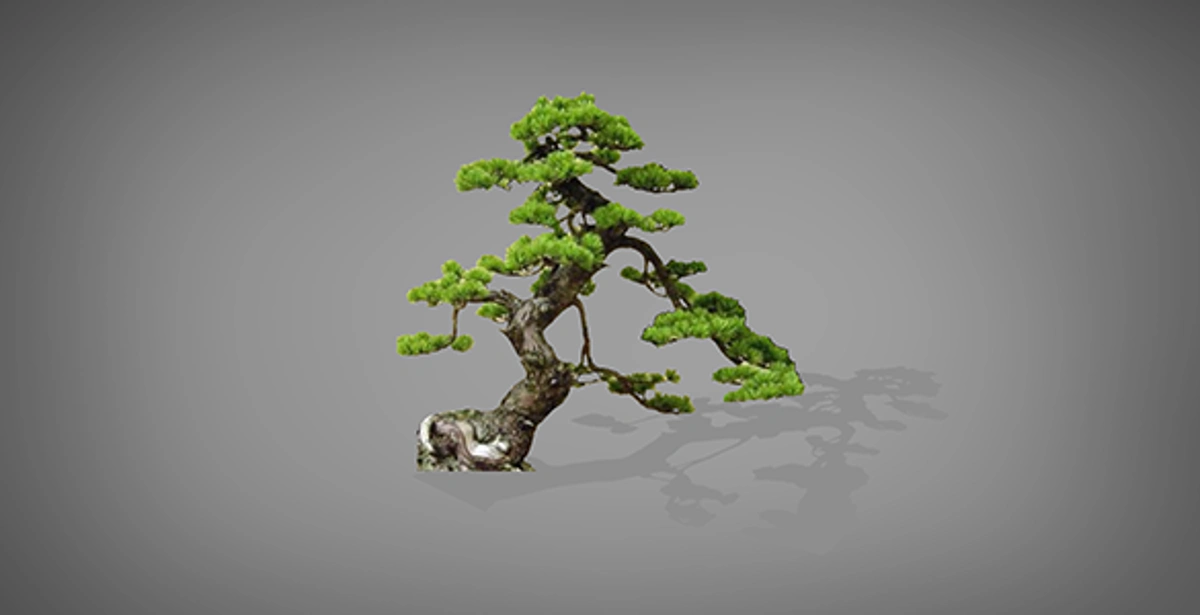 2D Pine Tree