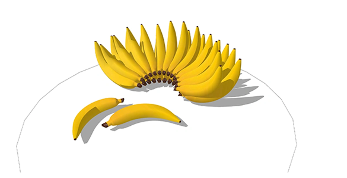 Fruit Series - Banana
