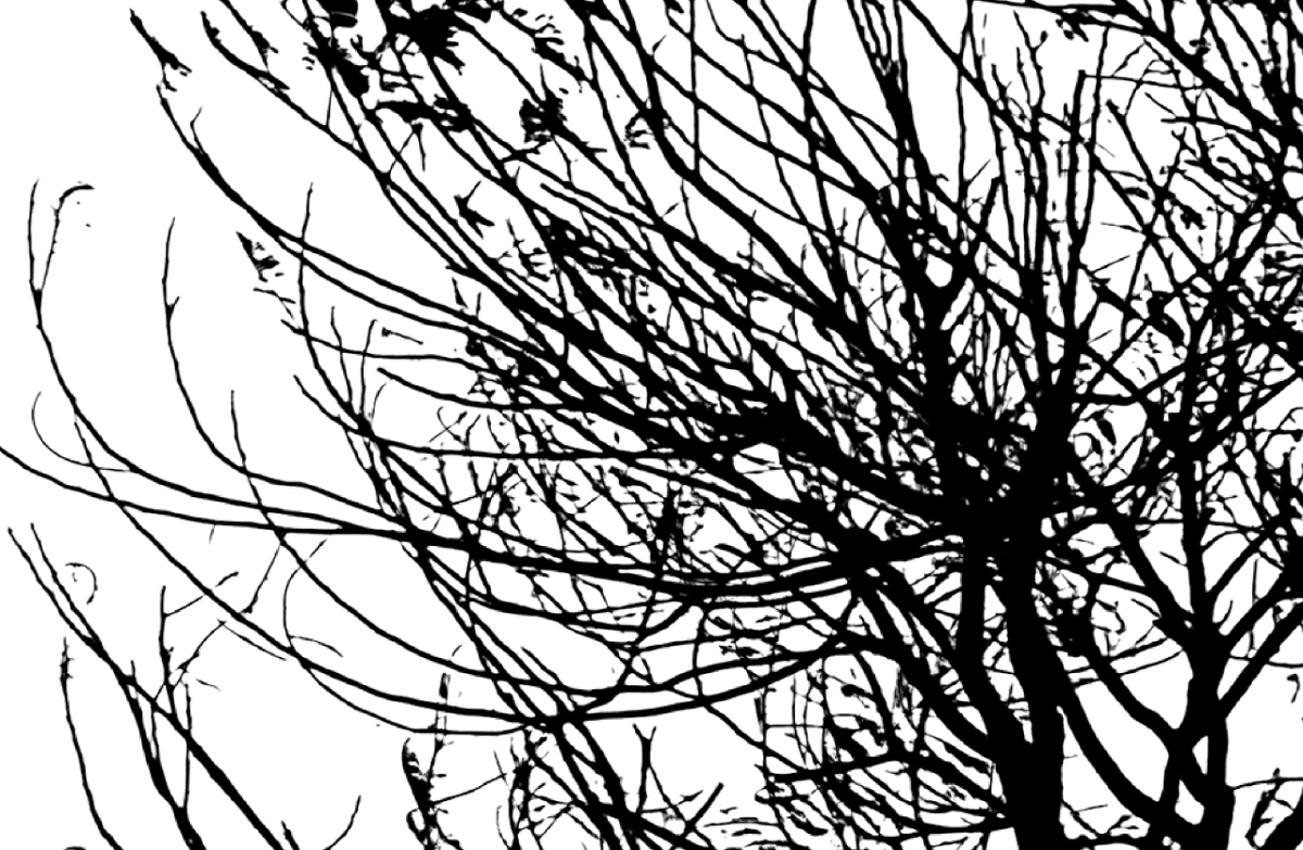 Withered tree 12 styles 9