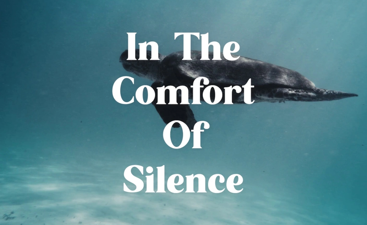 In The Comfort Of Silence / Re