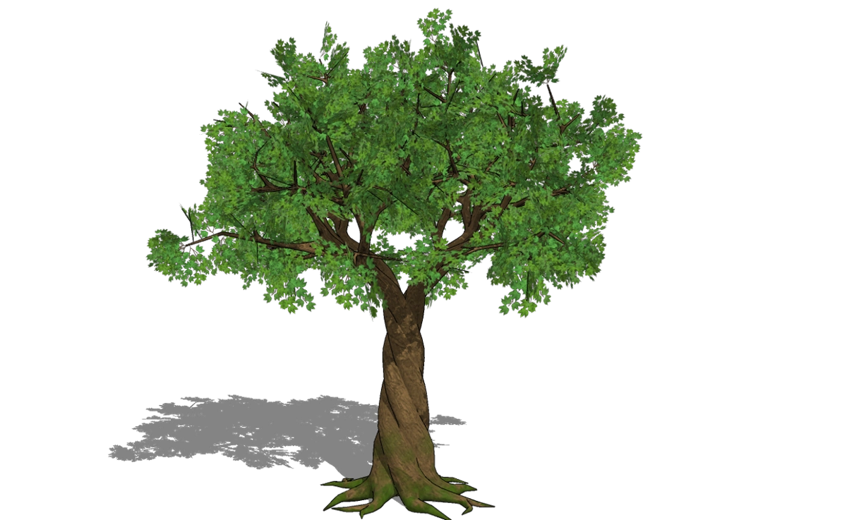 1 type of 3D tree