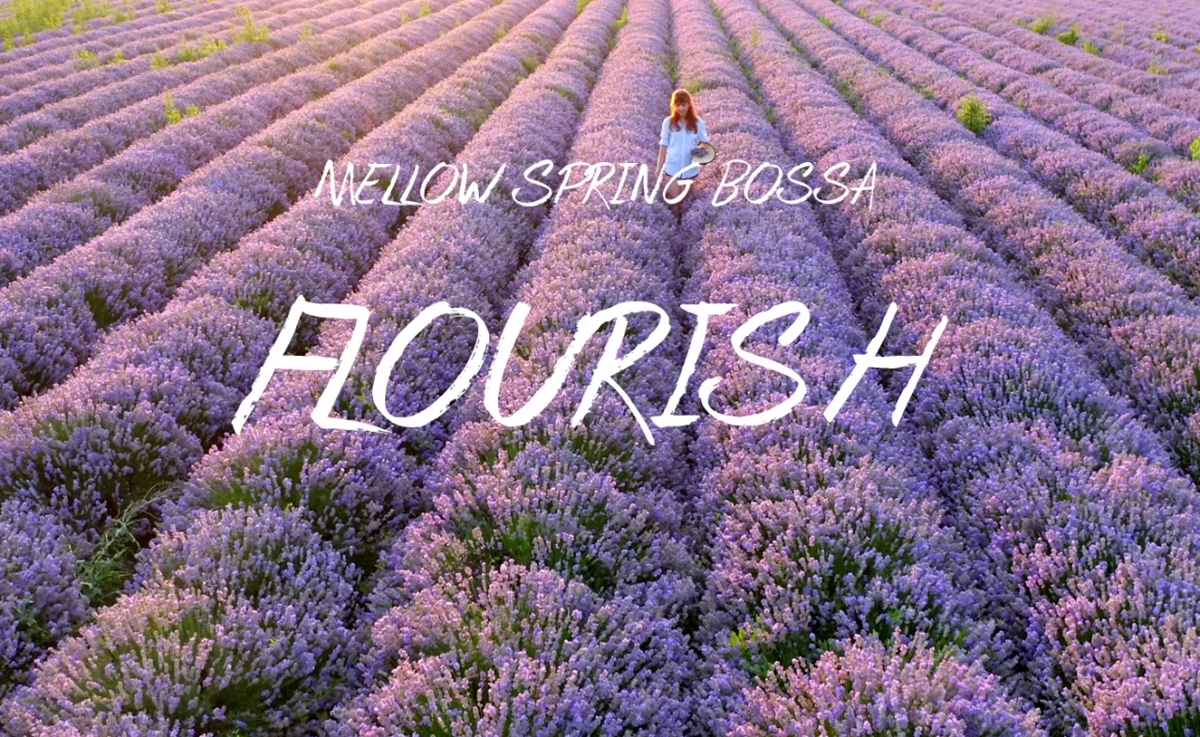 Flourish / Mellow Spring Bossa