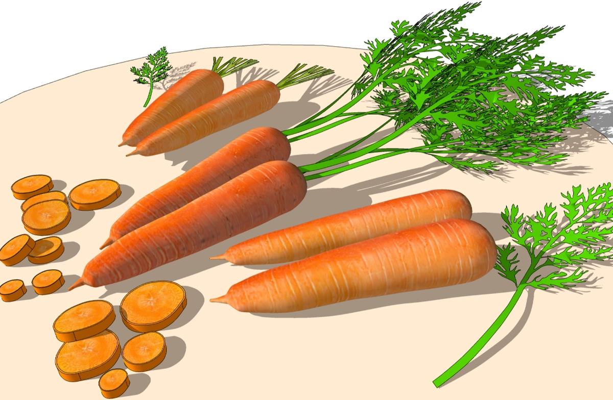Food Ingredients Series - 015 (Carrot)
