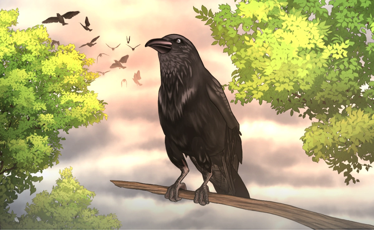 Crow [Creator]