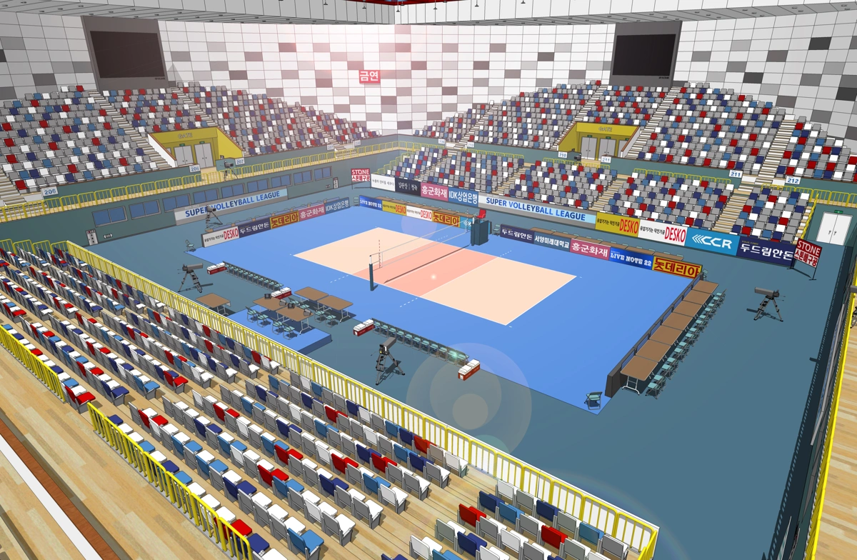Professional Volleyball Stadium