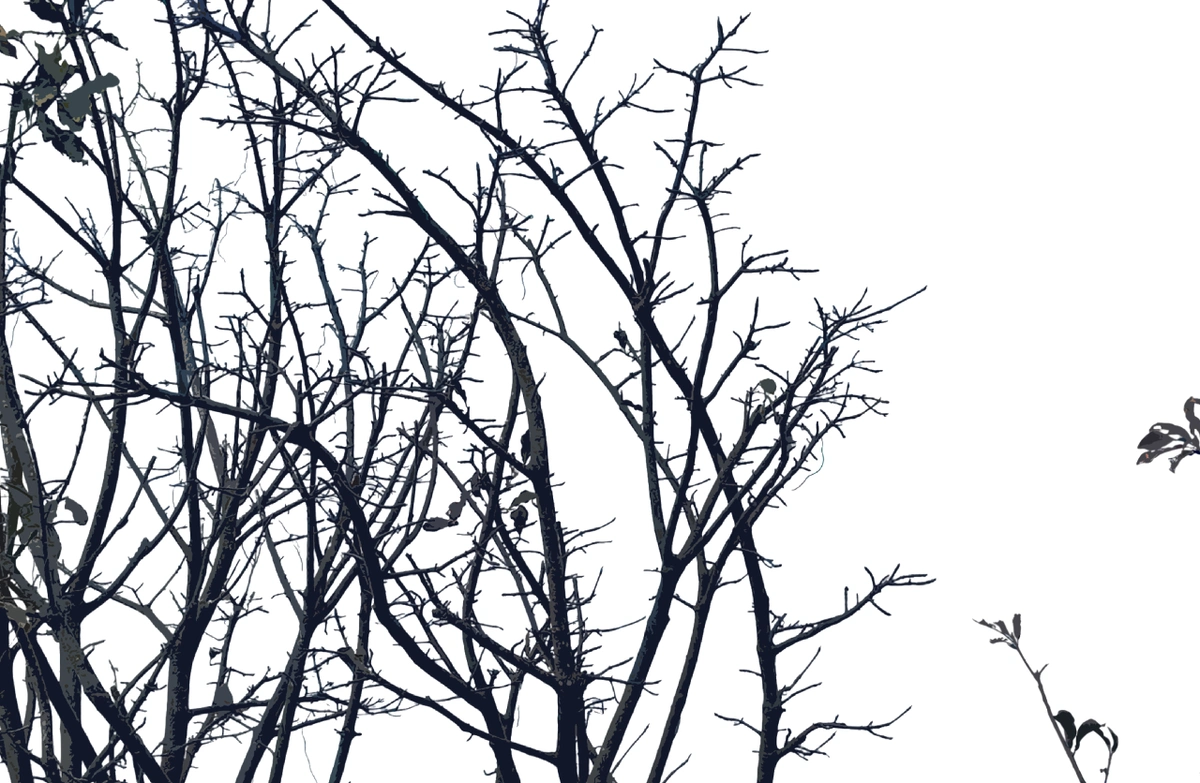 Withered tree 12 styles 18