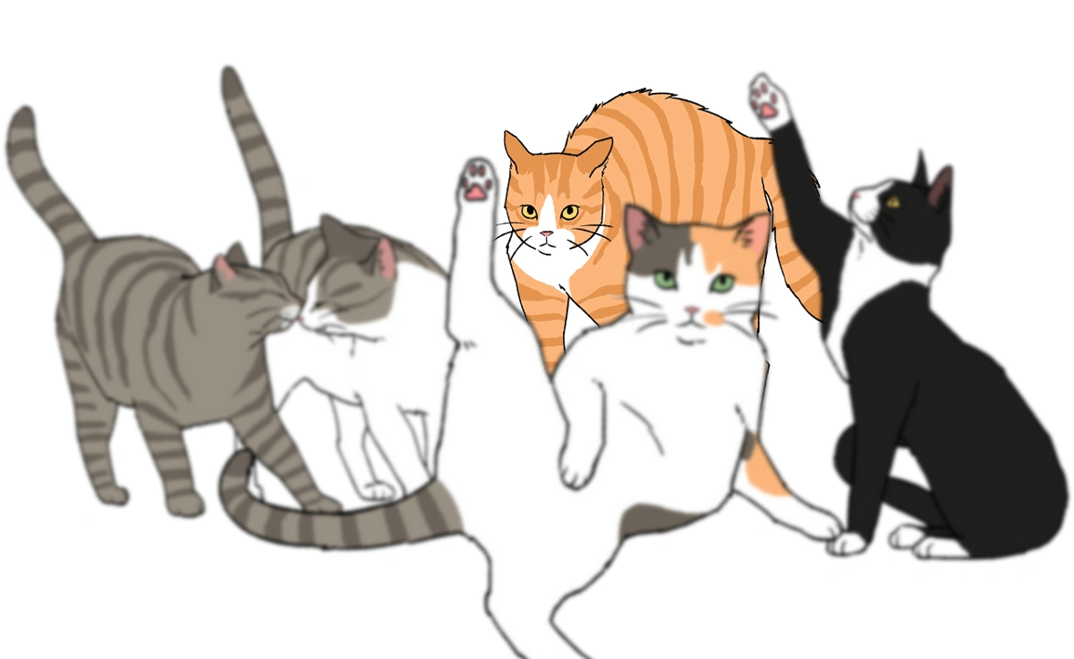 20 types of cat extra brushes