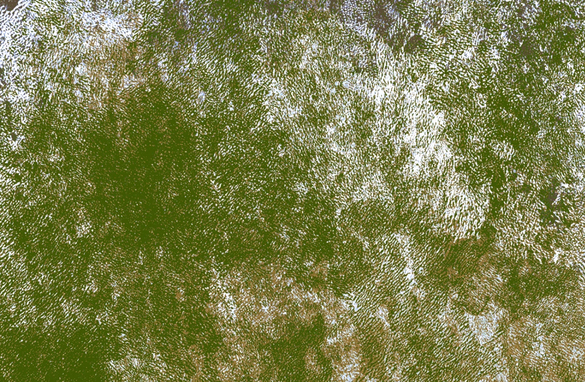 Pigment Texture Brush 81 for CSP Paint