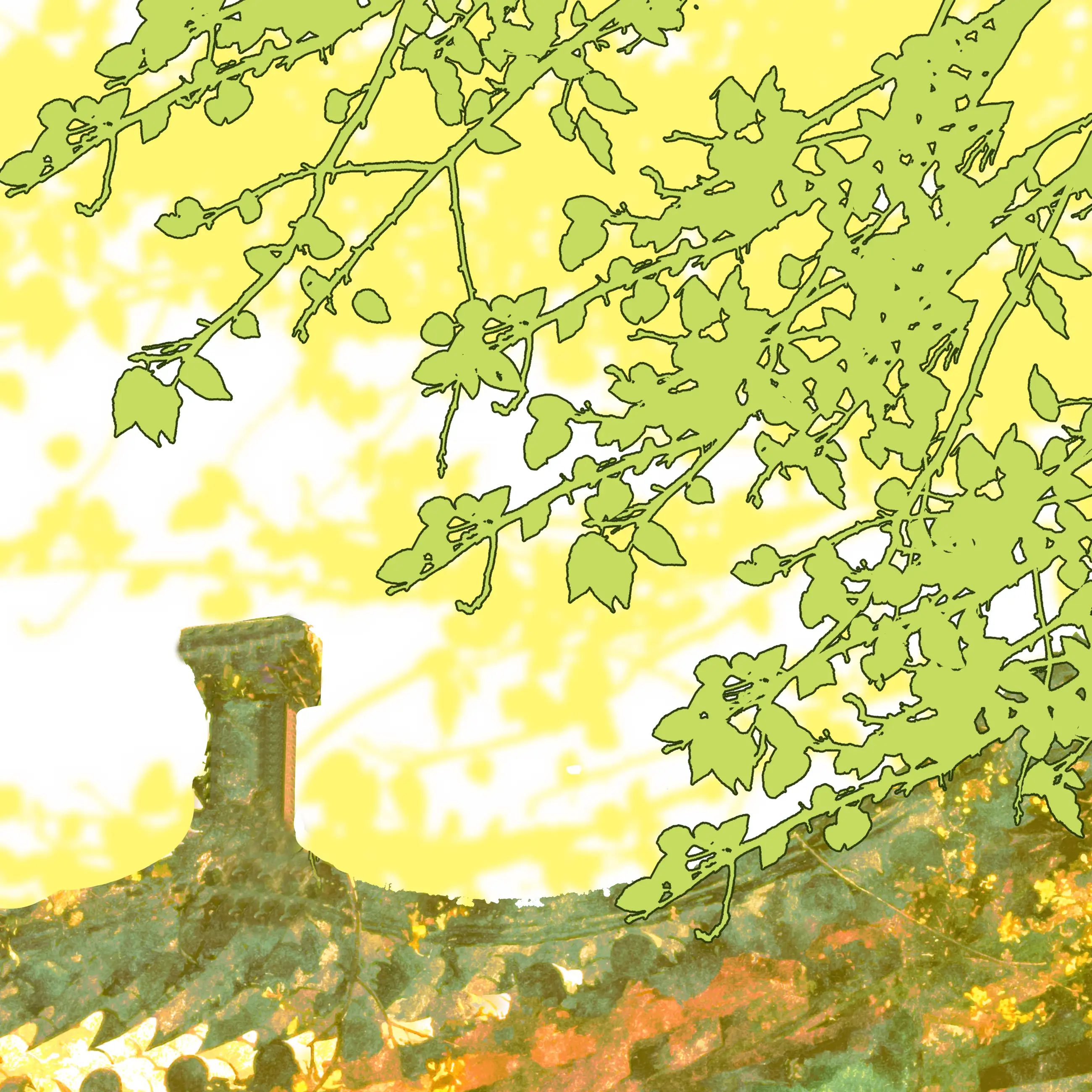 ACON - Digital Asset Store for All Creators