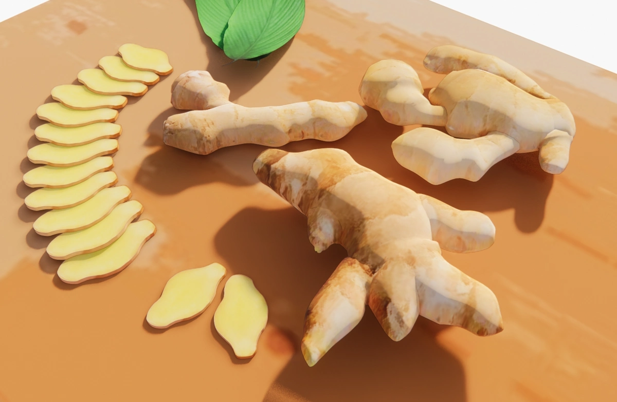 Food Ingredients Series - 028 (Ginger)