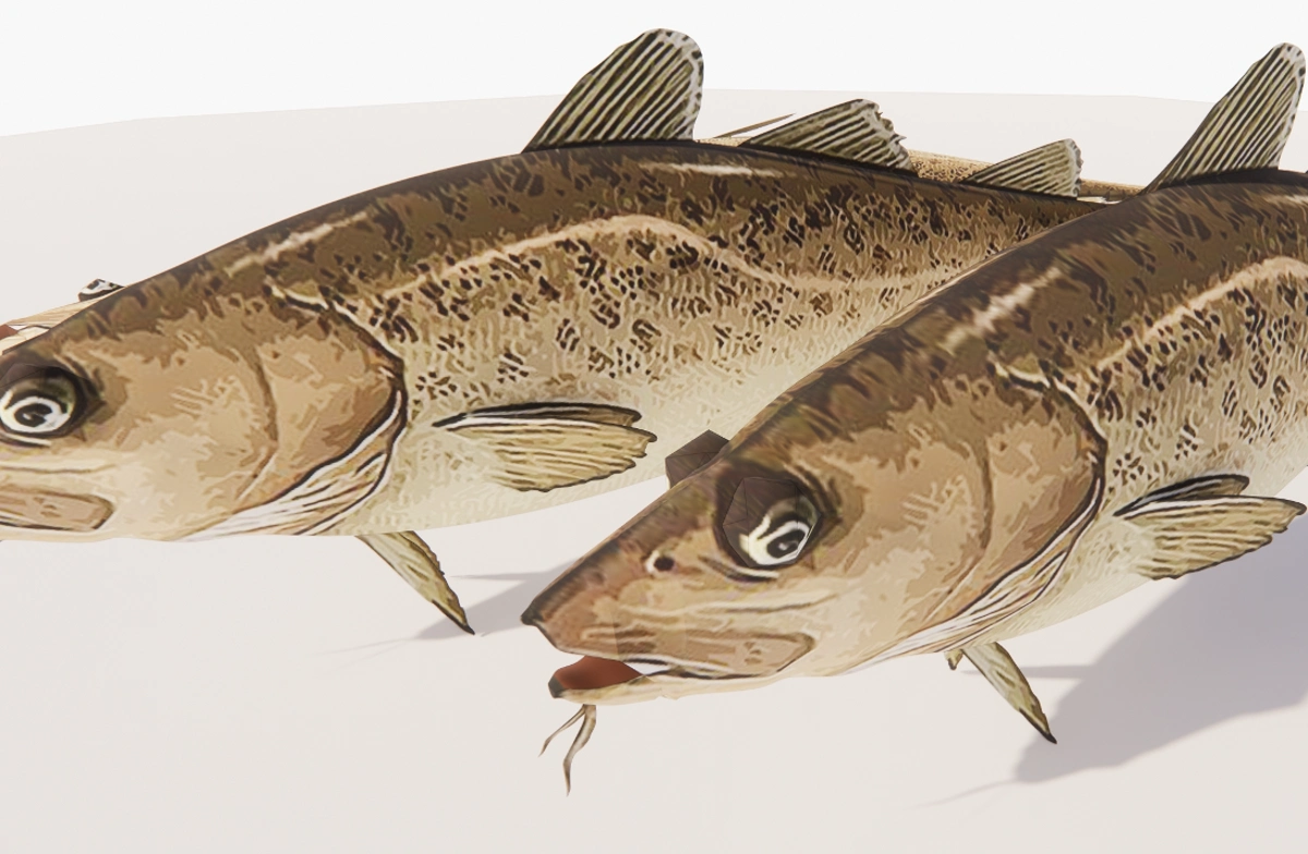 Food Ingredients Series - 032 (Codfish)