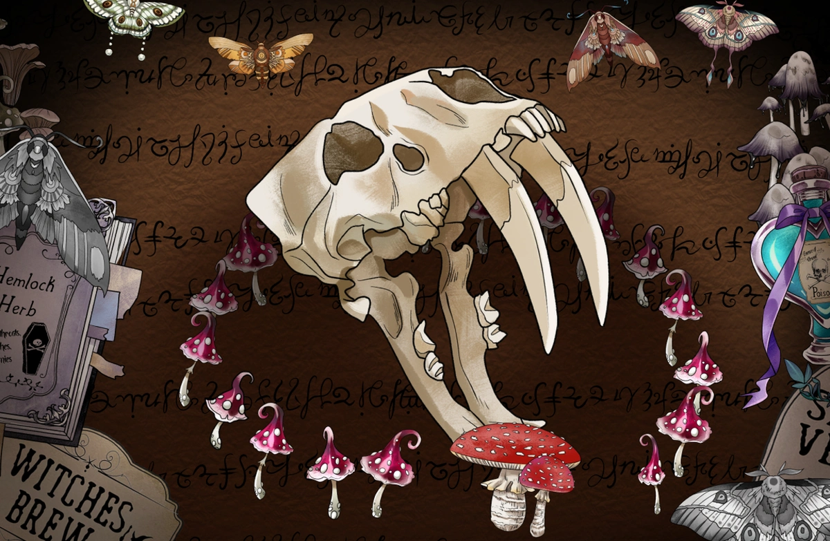 Magic World Fantasy Object Full Set