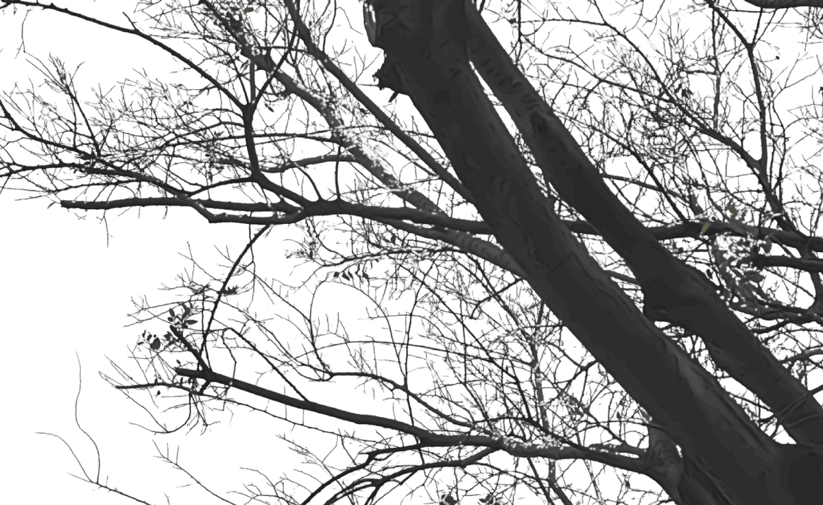 Withered tree 12 styles 27