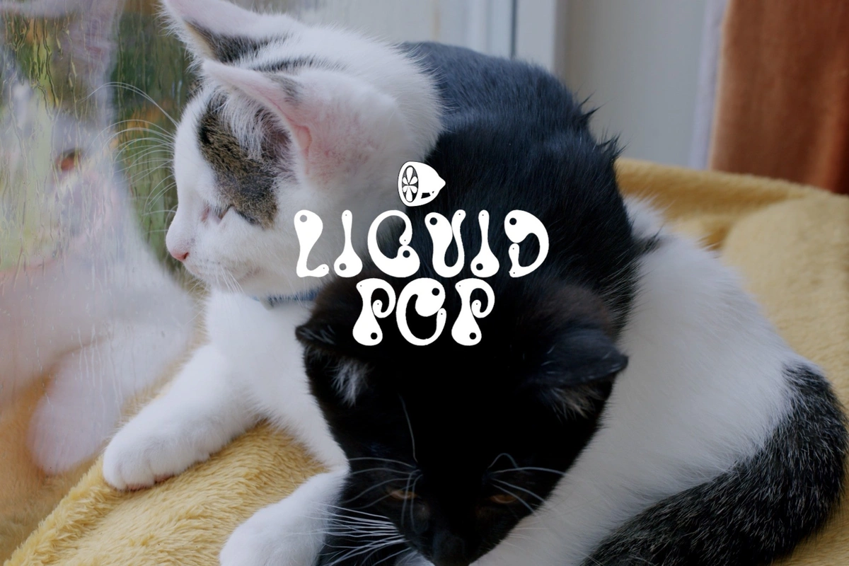 LIQUID POP / LIQUIFIED VIBES POP - CINE MUSIC SERIES