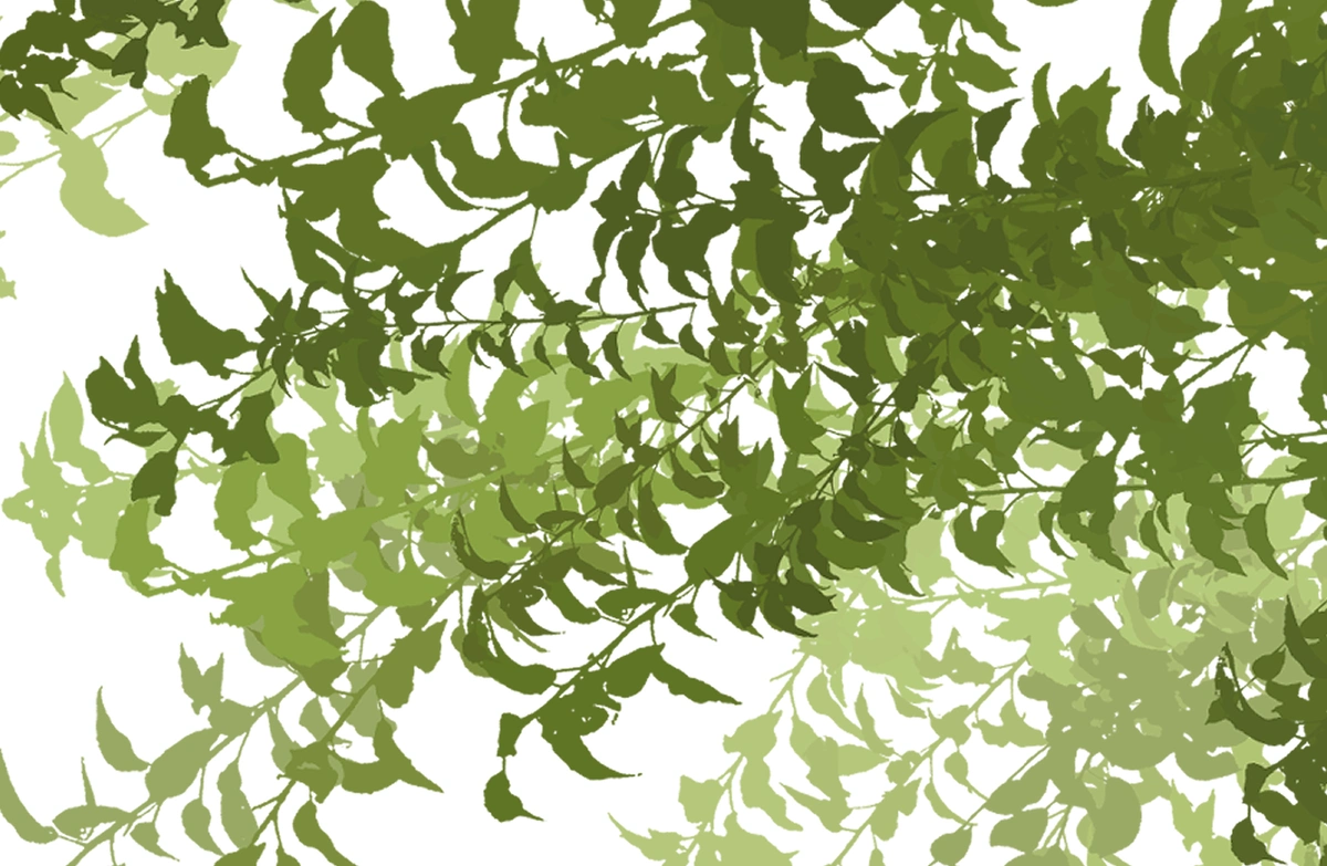 CSP Cartoon Nature Background Leaf Brush 51