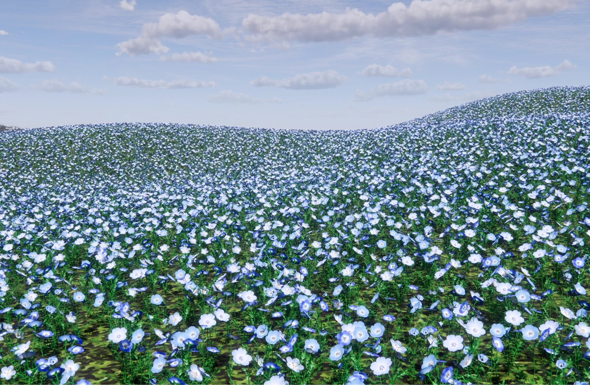 Flower and Tree Series - Square Fila Flower Garden (Video)