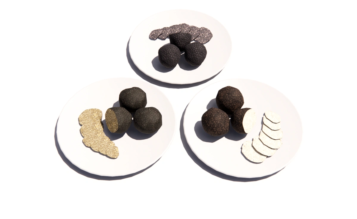 [Video] 3 truffles (truffle)