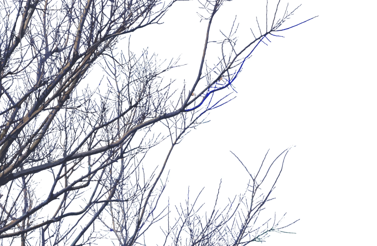 Withered tree 12 styles 10