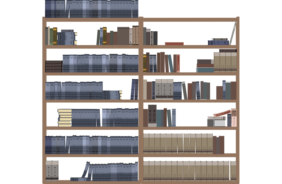 2D bookshelf image set