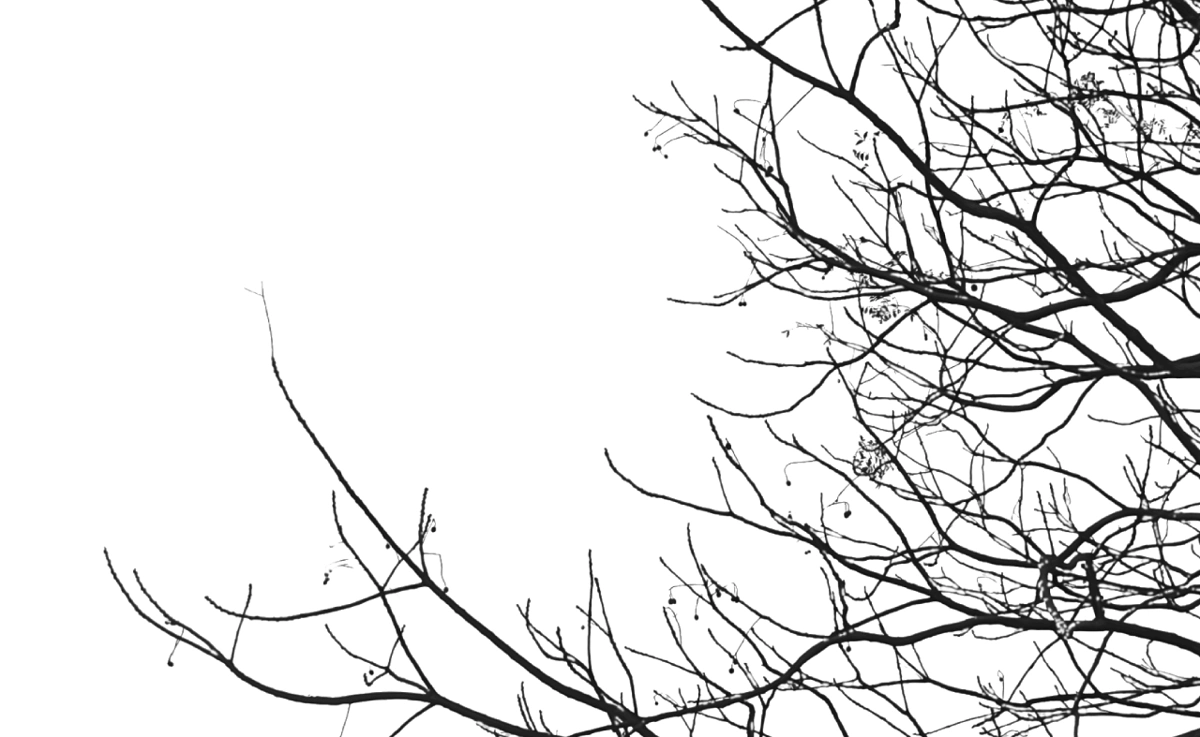 Withered tree 12 styles 26