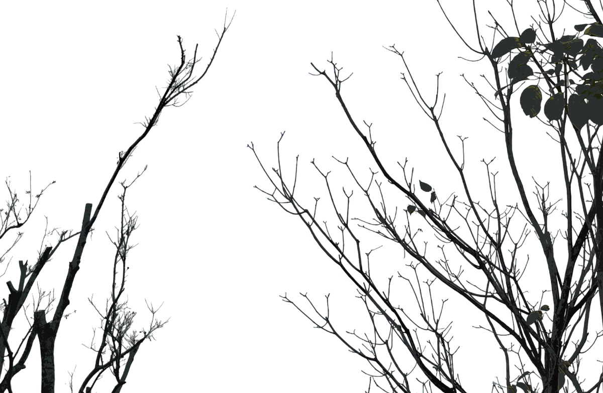 Withered tree 12 styles 6