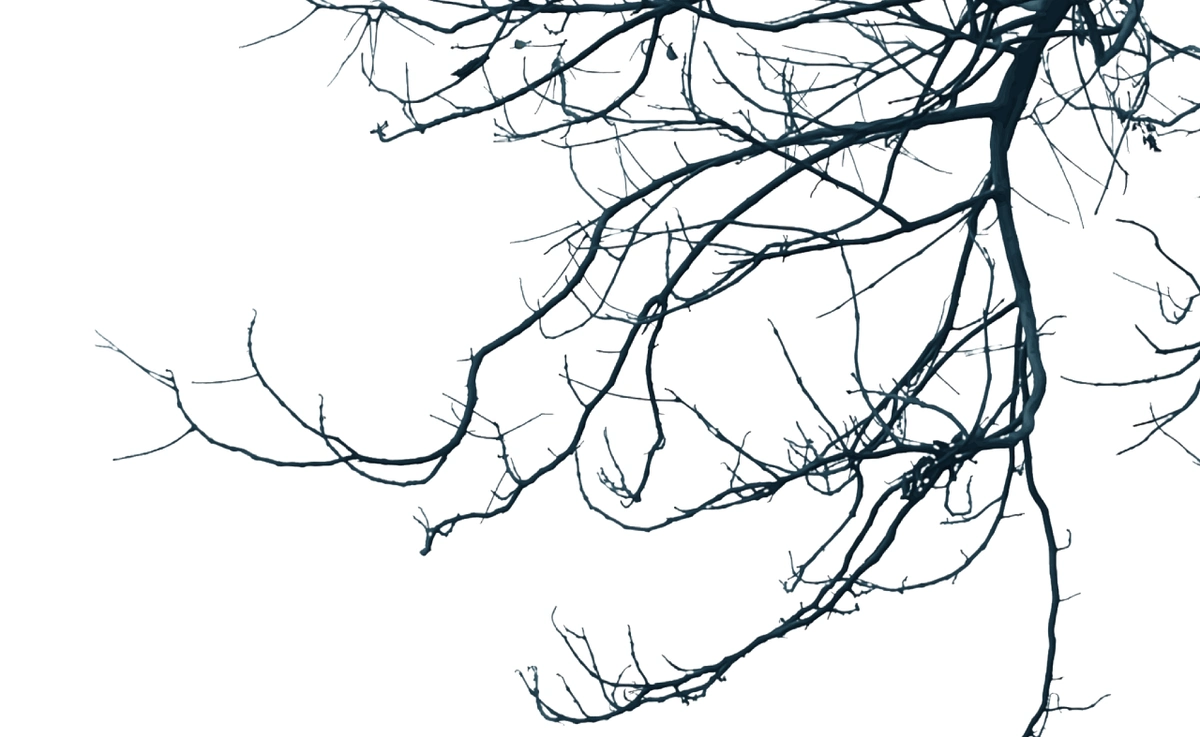 Withered tree 12 styles 23