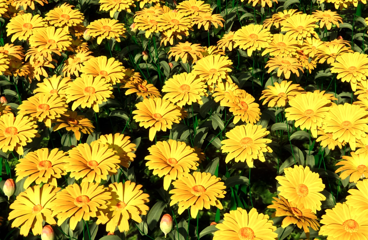 Flower and Tree Series - The Golden Flowers