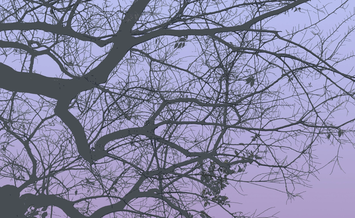 Withered tree 12 styles 21