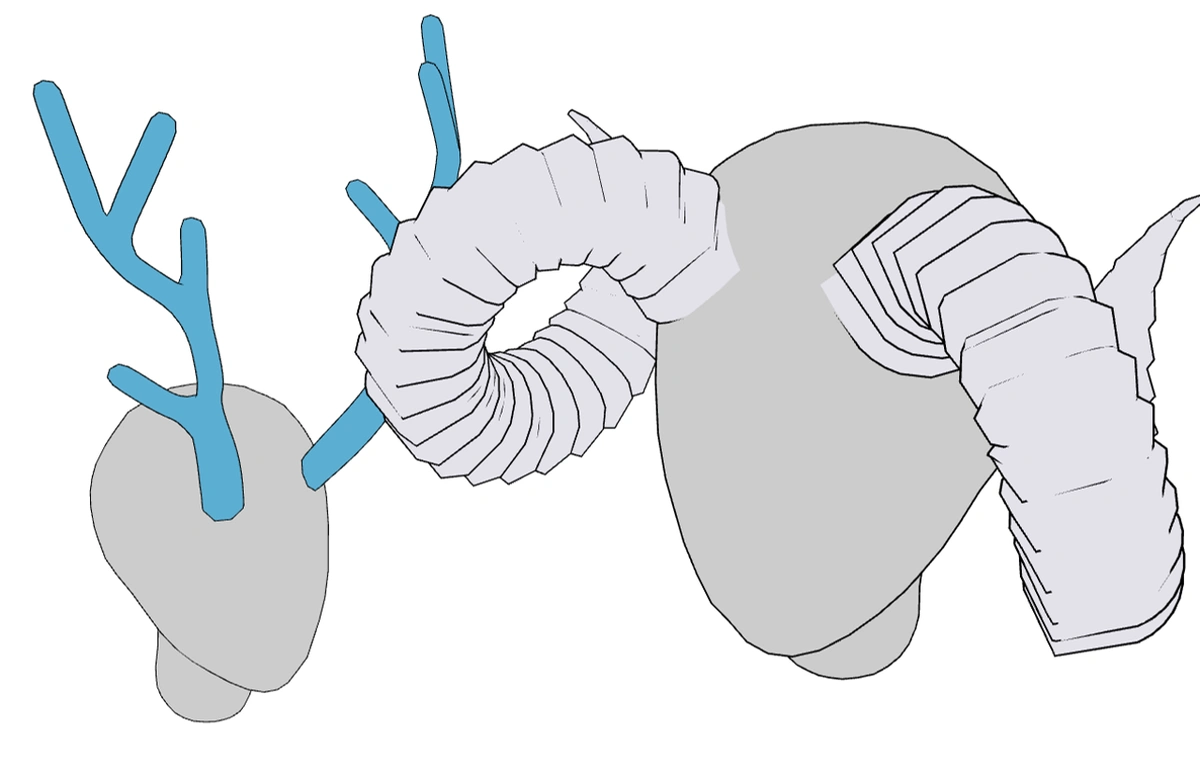 FANTASY 10 Large Horns