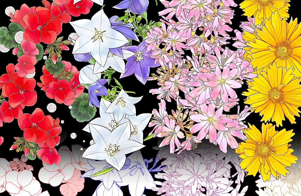 Flower Collection 4 (4 types)