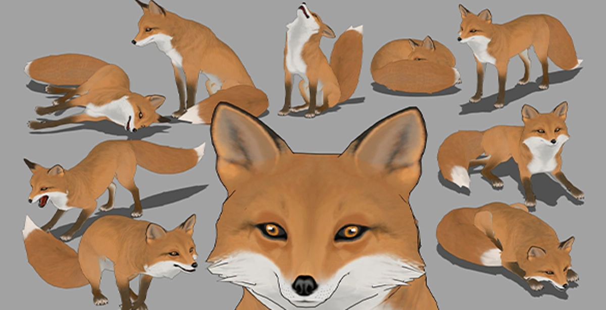 Animal Series (2) Fox