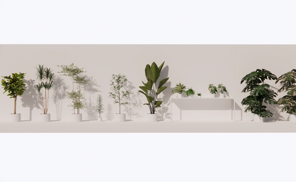 Plant 3d Modelling 9 Types 1-2 Interior Landscape Accessories