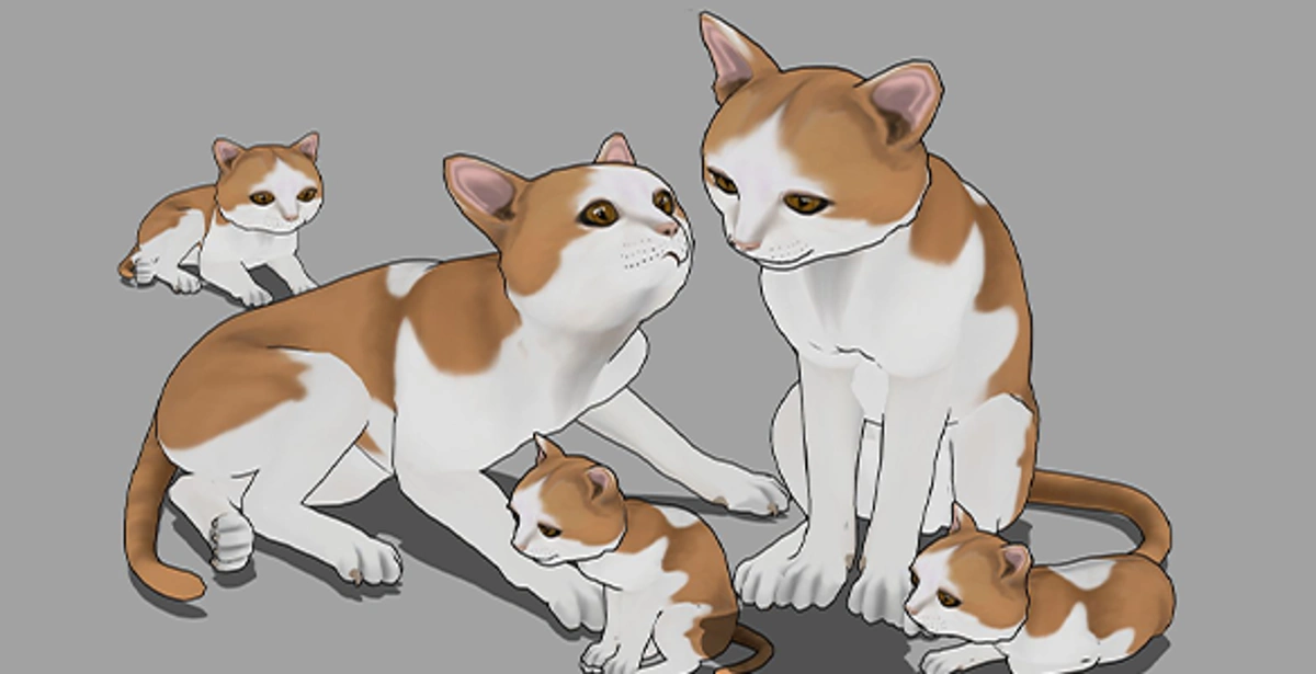 Animal Series (5) Cat