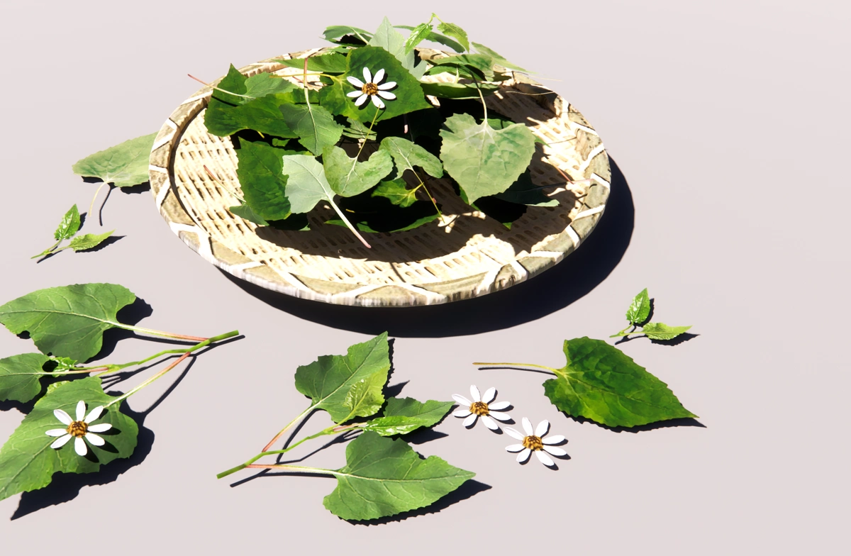 Food Ingredients Series - Domestic 3D Production Chwinamul (Aster Scaber)