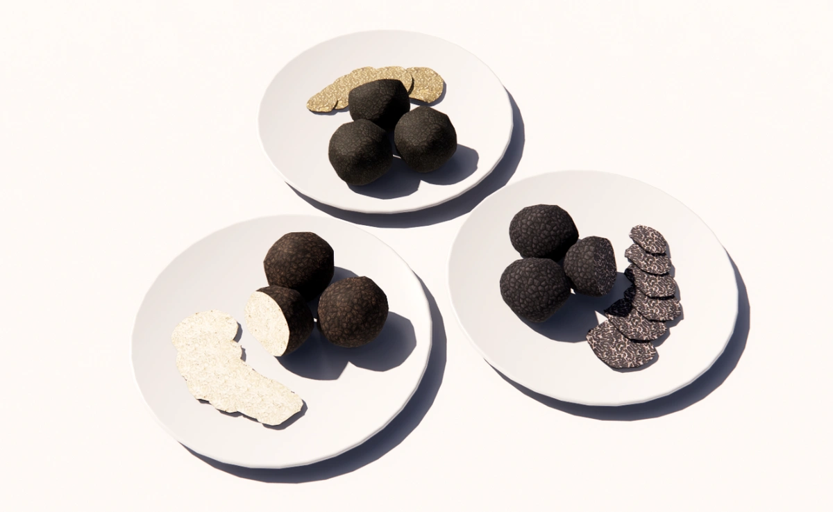 3 Truffles (3D Illustrated Style)