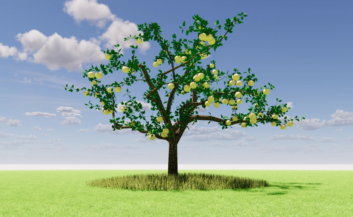 [Video] Single pear tree