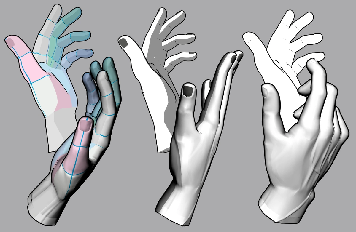 Muscularity of a man's hand