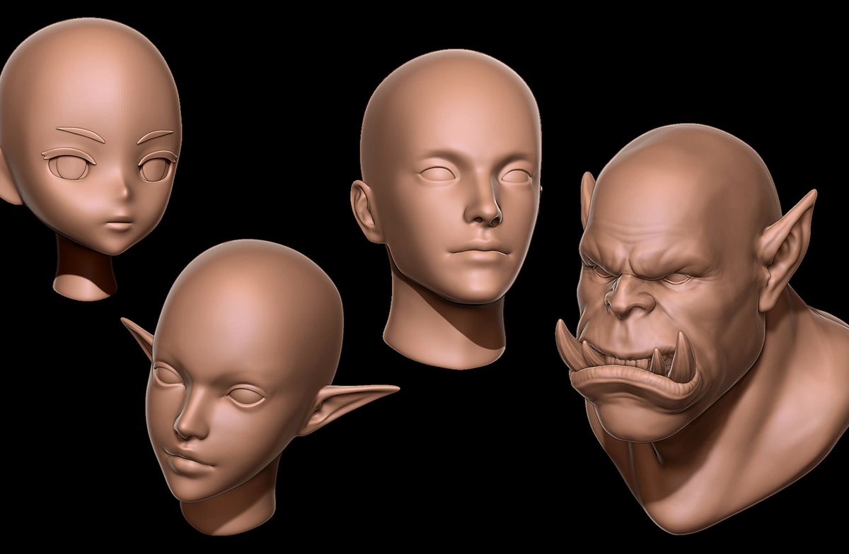 3D Head 14 Types Collection (+Variation) for Drawing