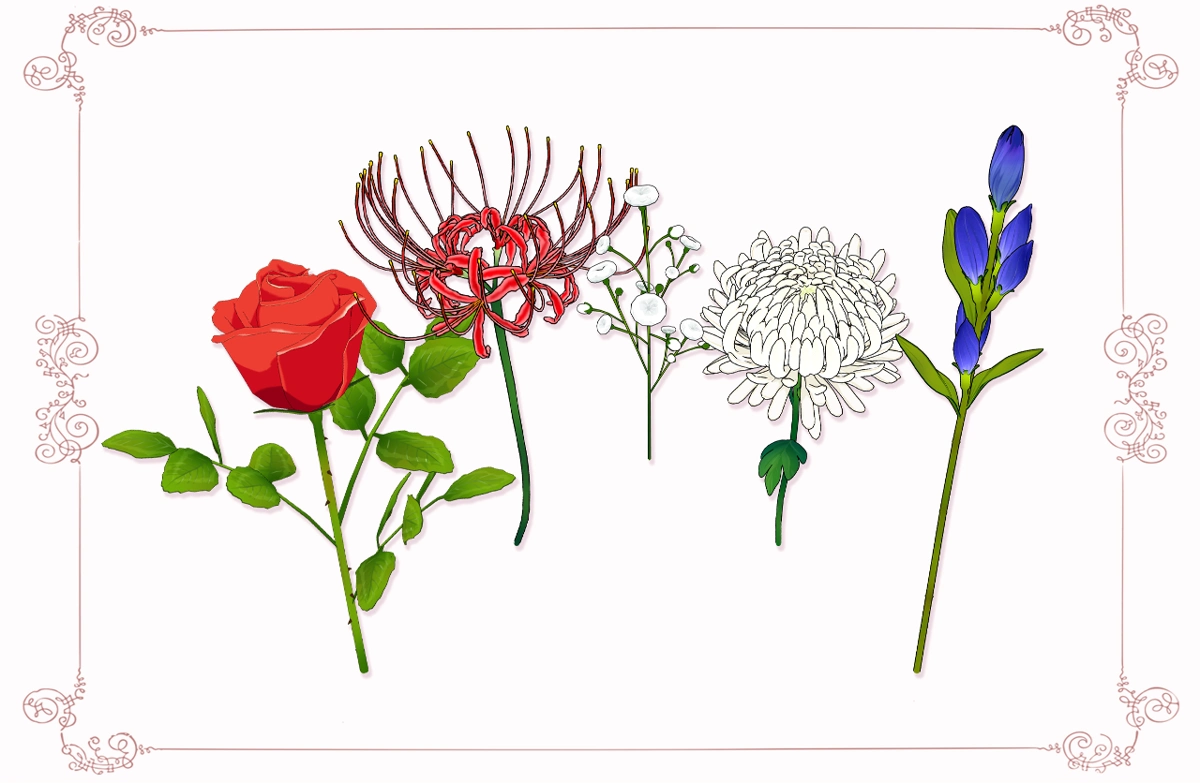 Flower of a ruse lady