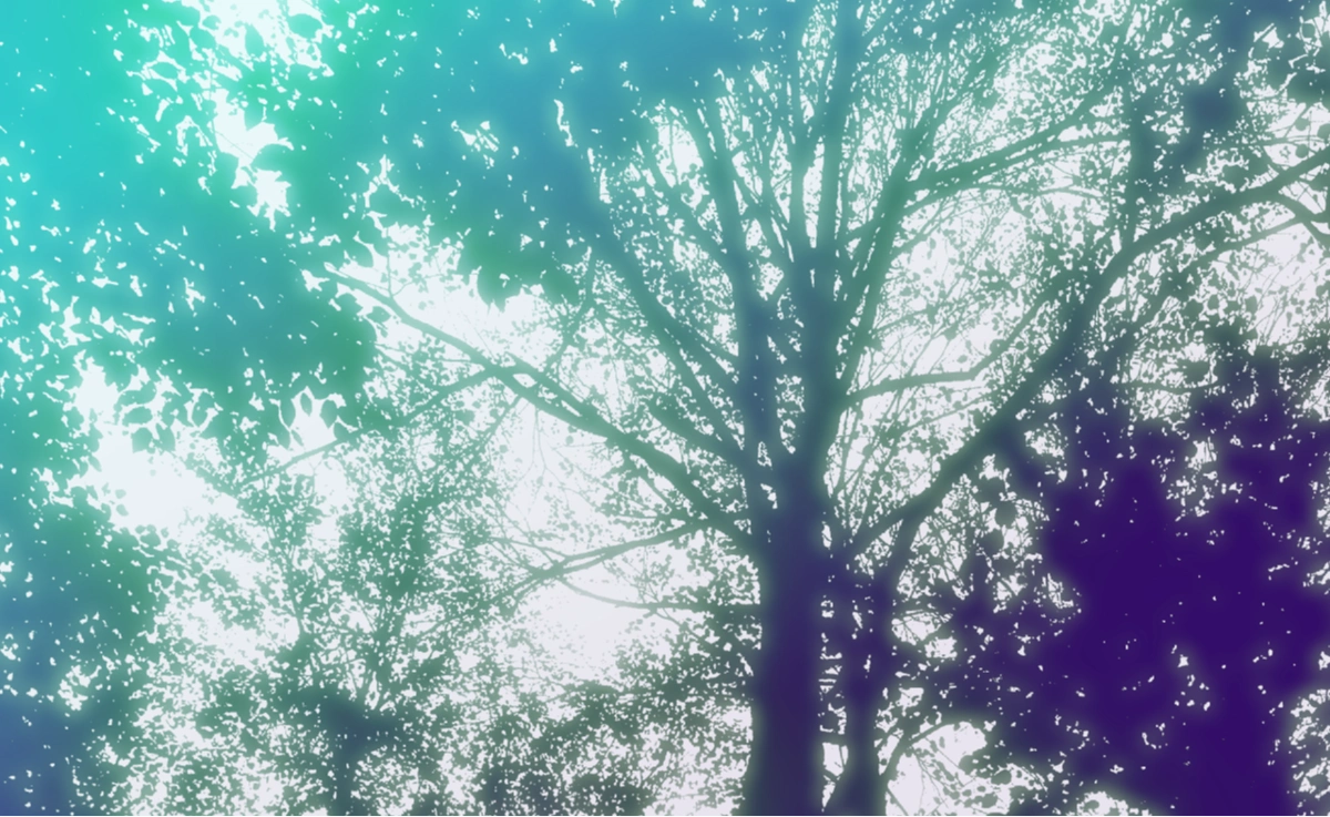 Dappled sunlight BRUSH