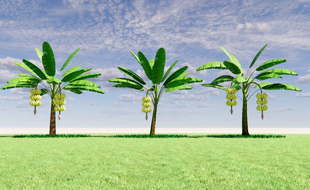 [3D] Banana Tree Set of 3