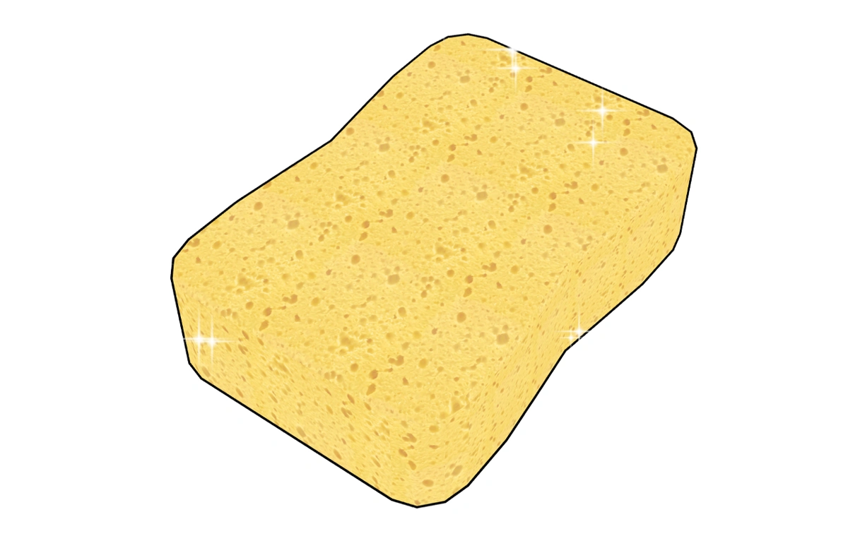 Sponge