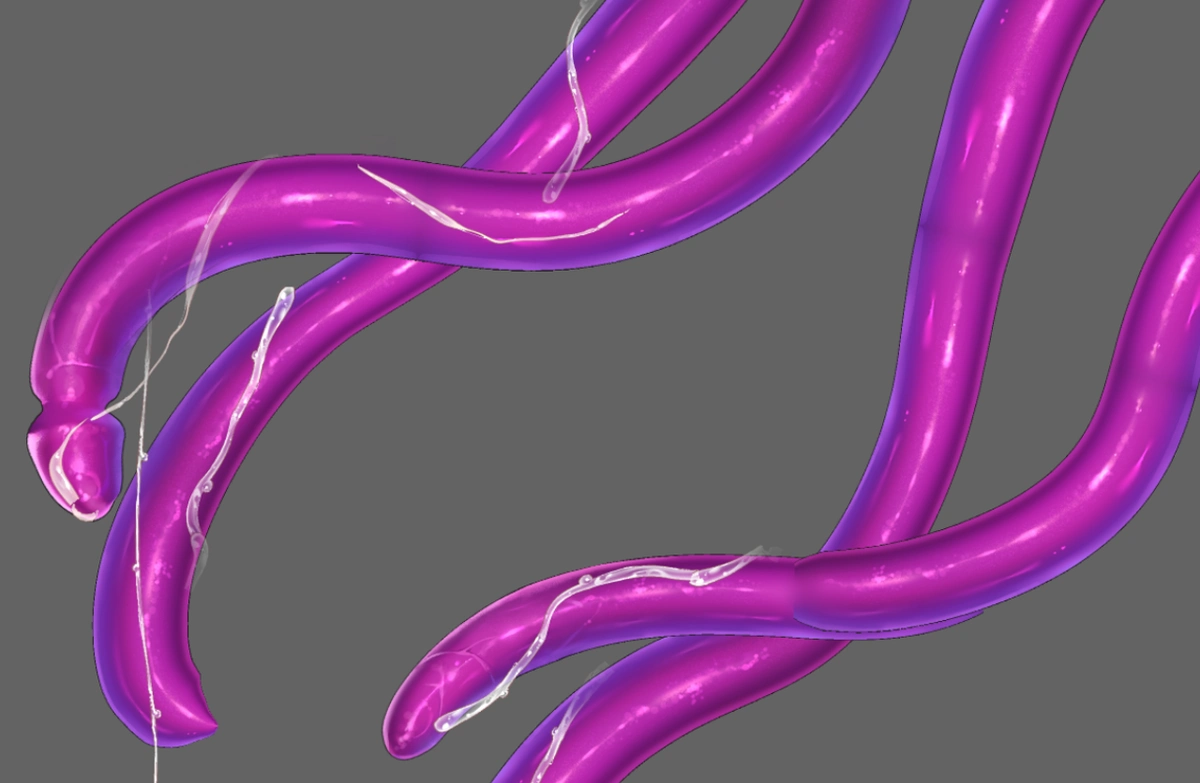 3 types of tentacle brushes