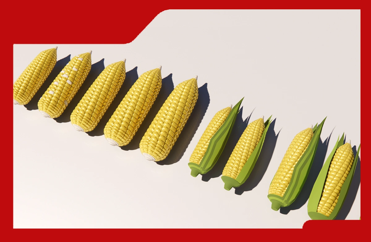 Gangwon-do Chal Corn (3D Webtoon Style)