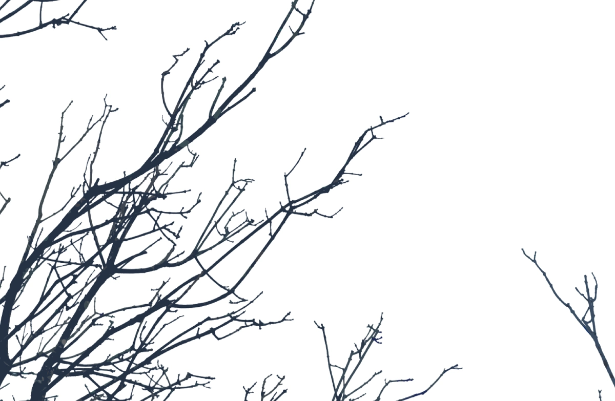 Withered tree 12 styles 13